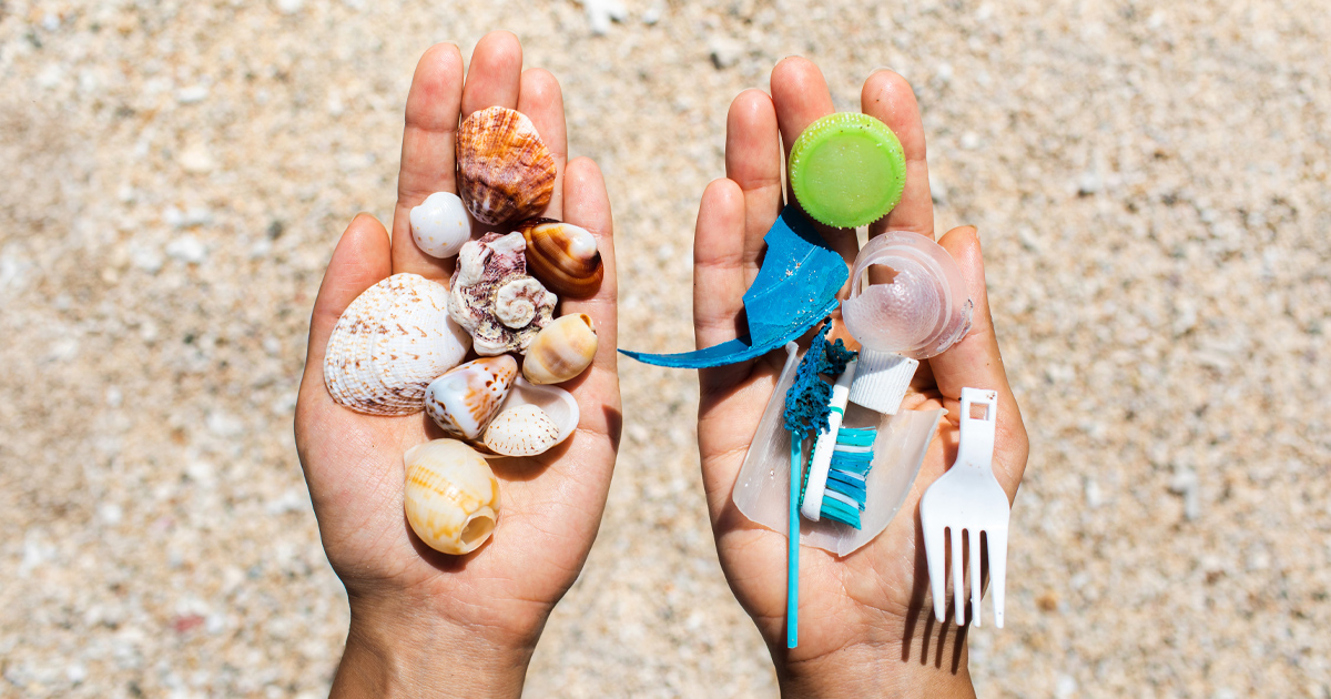 Wat denk jij: heeft het opruimen van plastic op een strand eigenlijk ...